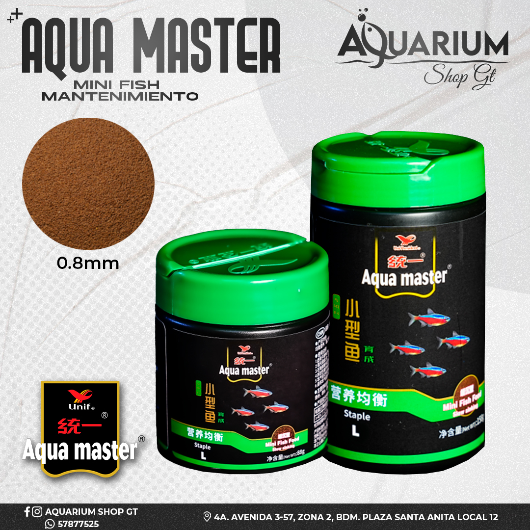 Alimento Aqua Master Mini Fish Mantenimiento - Aquarium Shop GT
